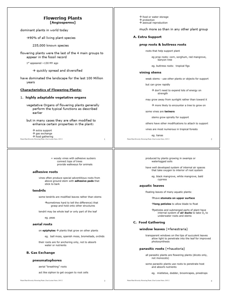 Flowering Plants | PDF