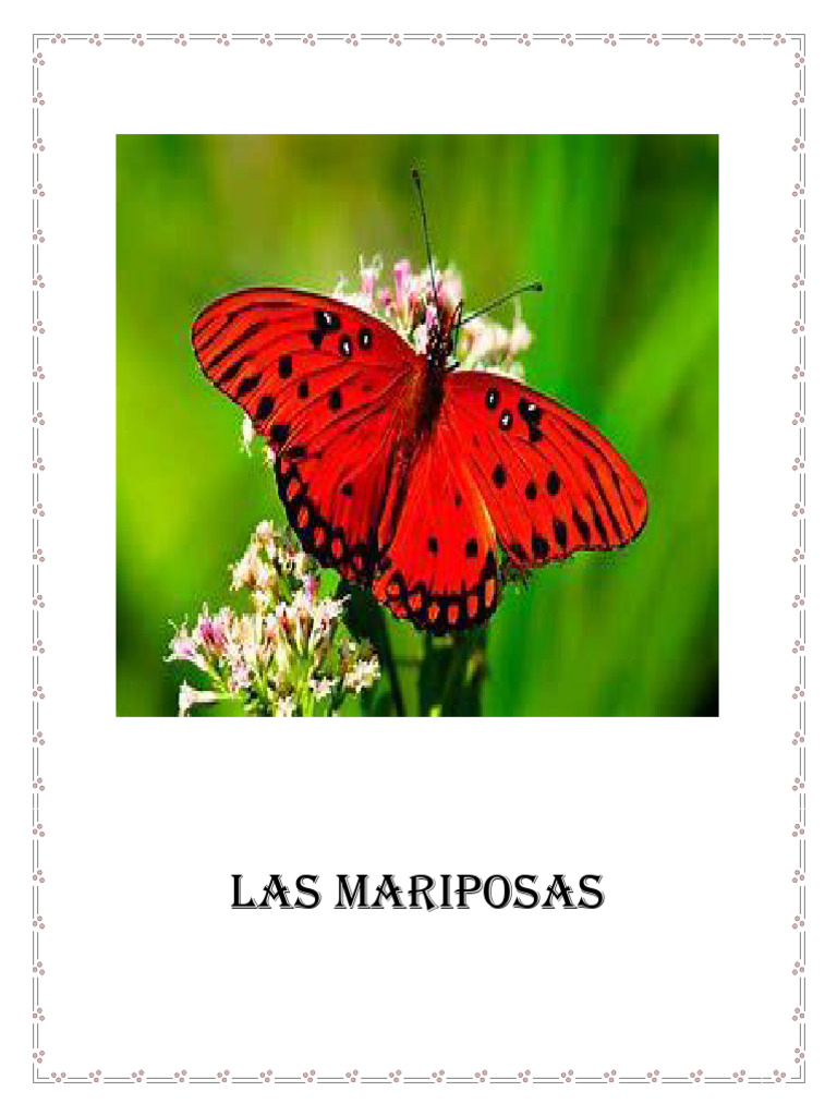 Las Mariposas | PDF