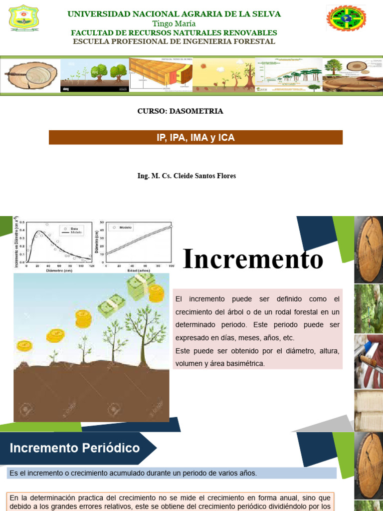 INCREMENTO | PDF