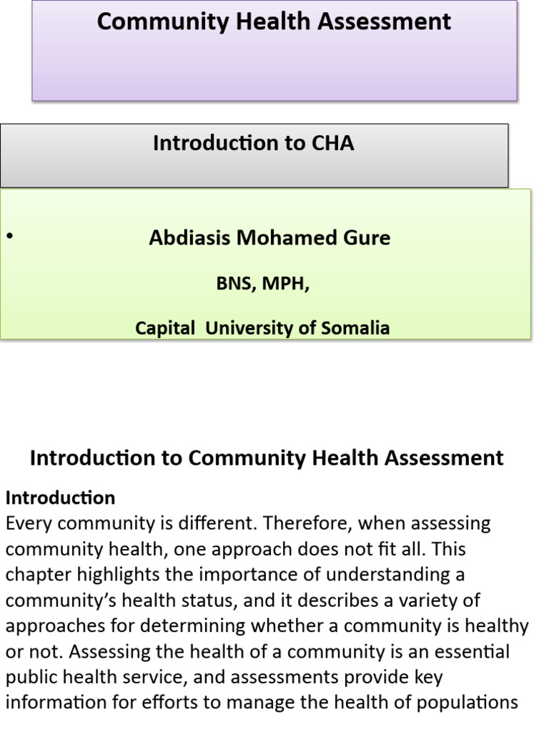 Chapter 1 Introduction Community Health Assessment | PDF