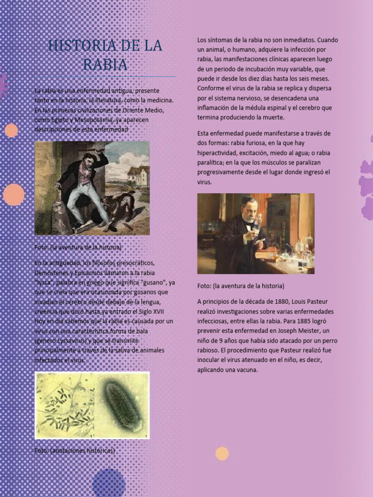 Historia de La Rabia Final | PDF | Rabia | Salud pública