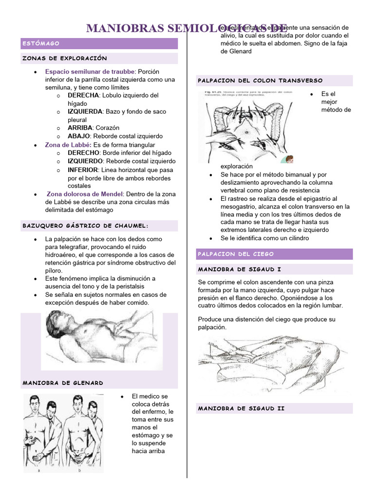 Maniobras Semiologicas de Abdomen | PDF