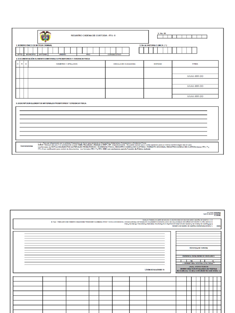 Formato Cadena de Custodia | PDF