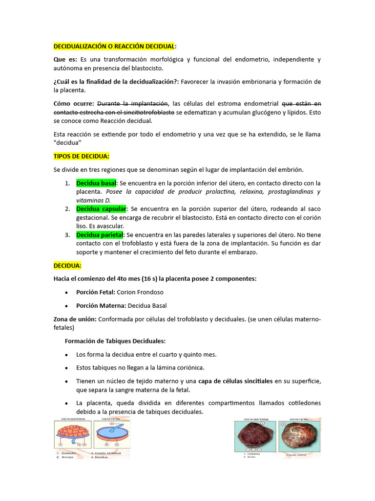 Mi Resumen | PDF | Hogar y jardín