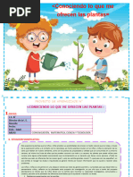 Proyecto: Explorando las Plantas en Inicial | PDF | Plantas | Entorno ...