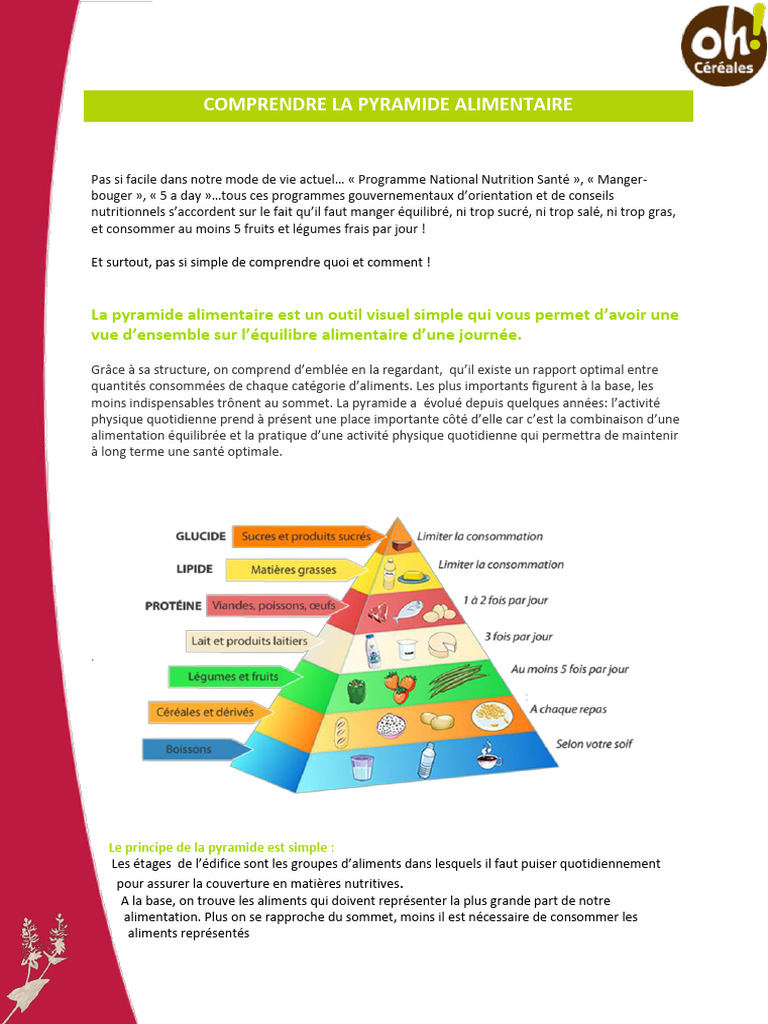 Comprendre la pyramide alimentaire | PDF | Boisson | Nourriture et boisson