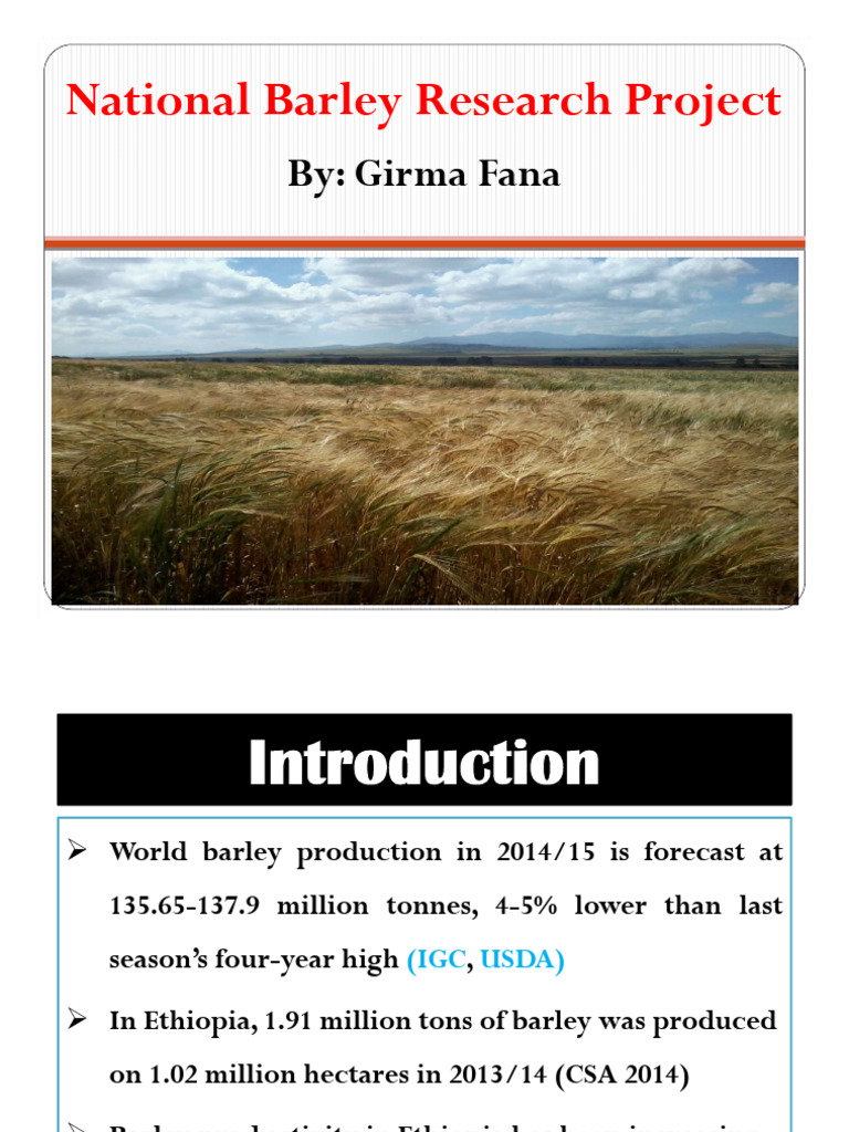 Barley Presentation at National Review 2015 | PDF | Plant Breeding ...