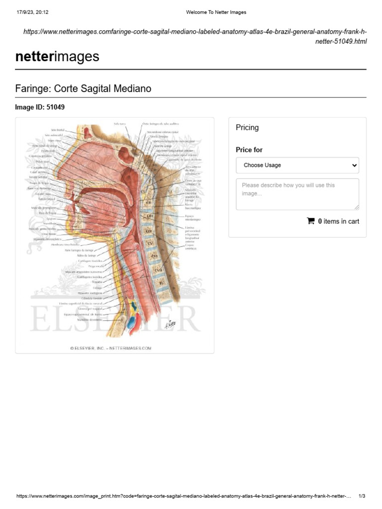 Welcome To Netter Images | PDF