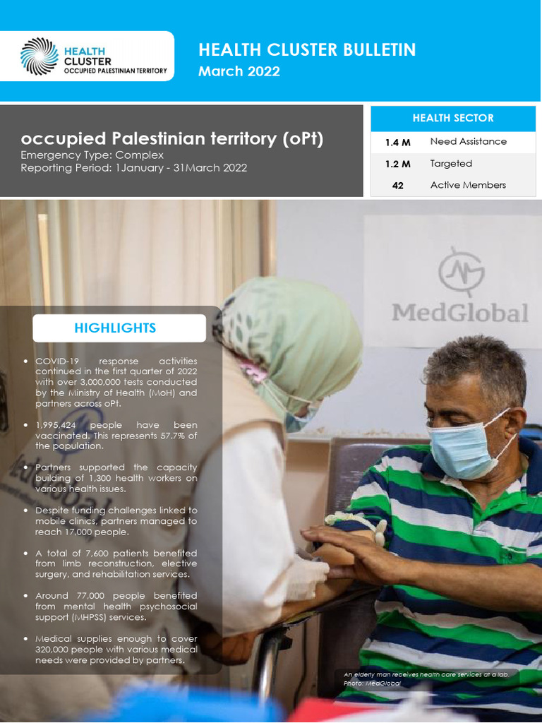 Health Cluster 1st Quarter Bulletin | PDF