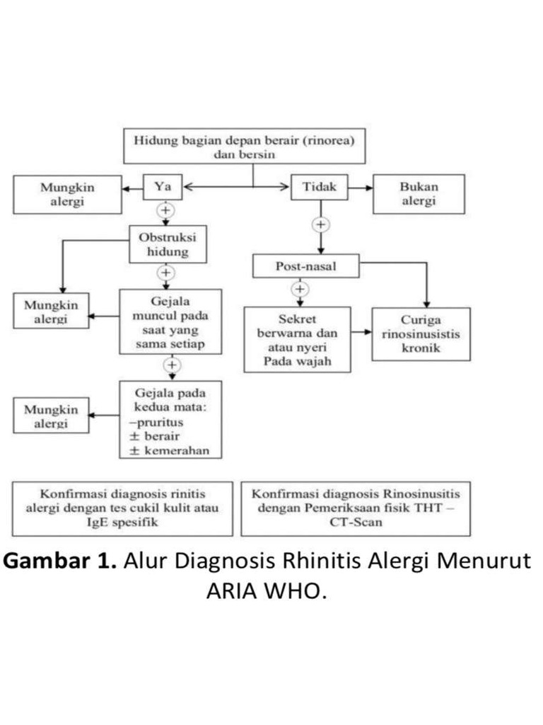 Diagnosis Rhinitis Alergi | PDF