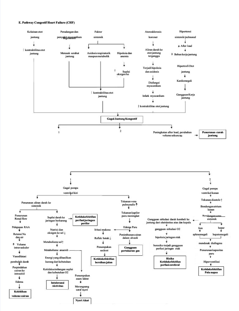 PDF Pathway CHF KMB | PDF