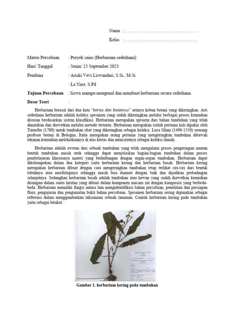 Herbarium | PDF