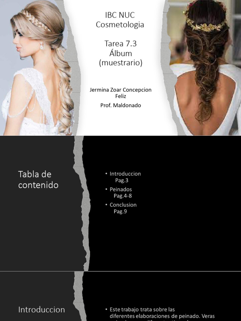 Presentation 3 | PDF