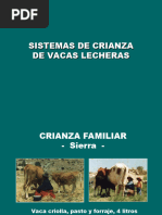 Parametros Productivos | PDF | Vacas | Ganado