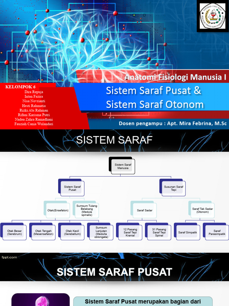 Sistem Saraf Manusia | PDF