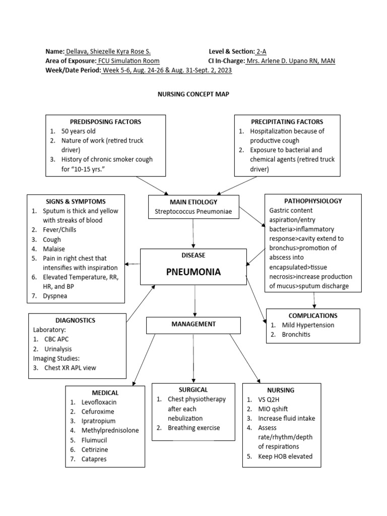 Pneumonia Concept Map | PDF | Pneumonia | Cough