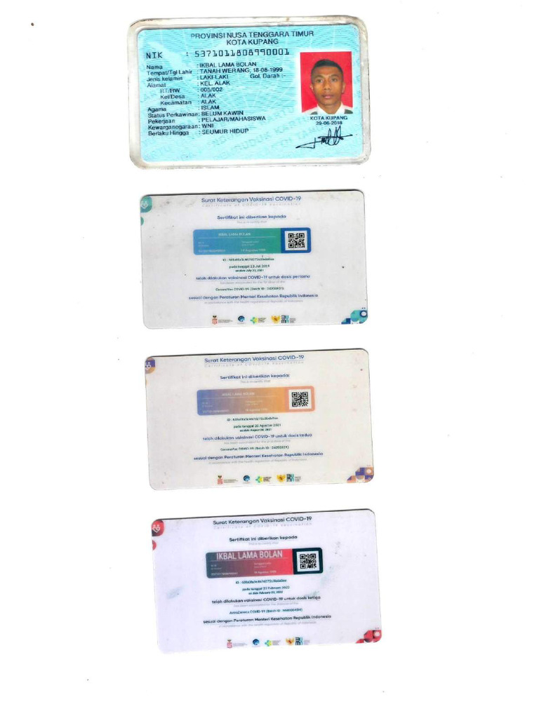 CV Ikbal Lama Bolan | PDF