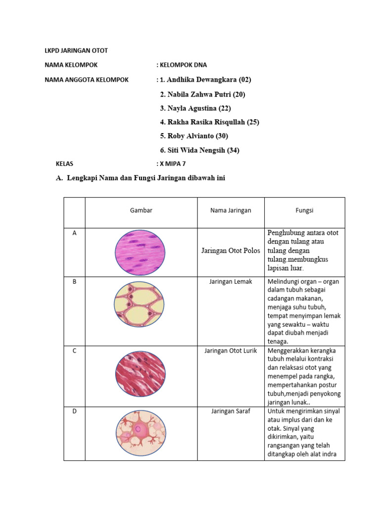 LKPD Macam Dan Fungsi Jaringan Otot | PDF