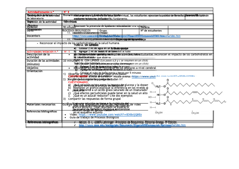 Practica de Laboratorio N°3 Procesos | PDF | Carbohidratos | Laboratorios