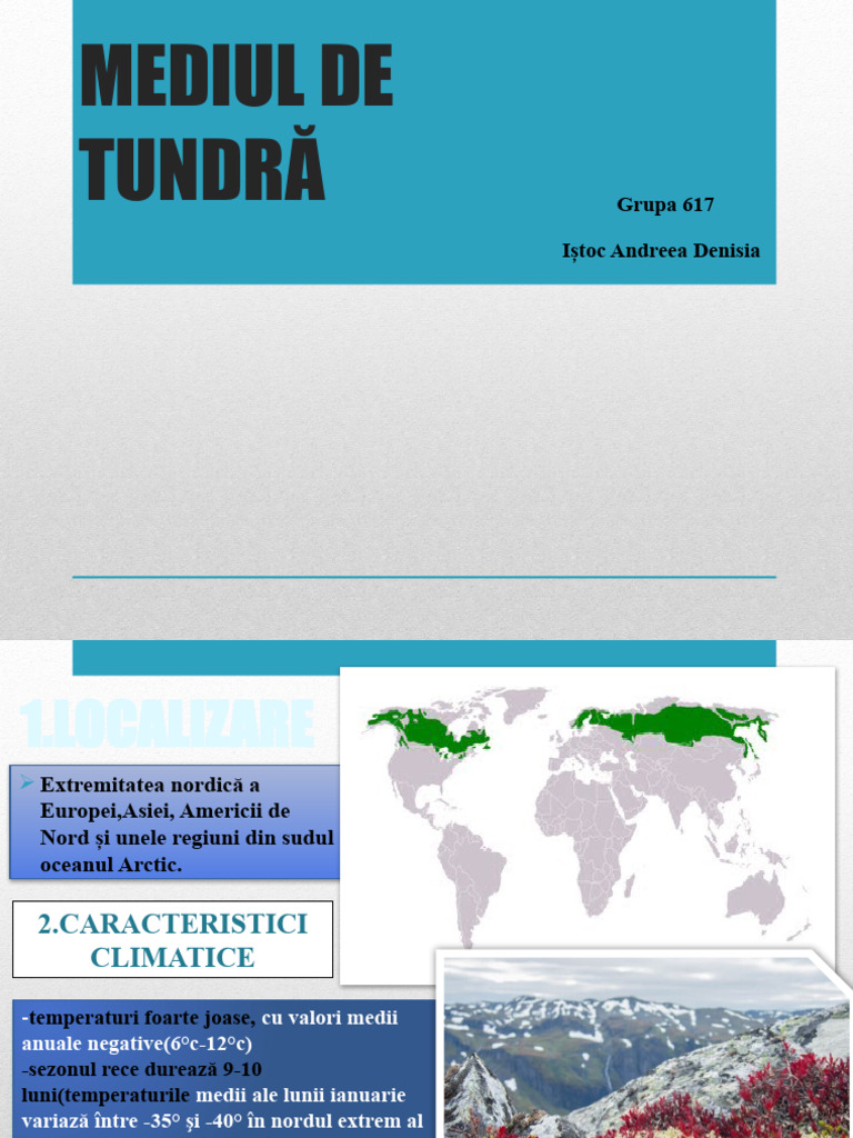 Mediul de Tundra | PDF