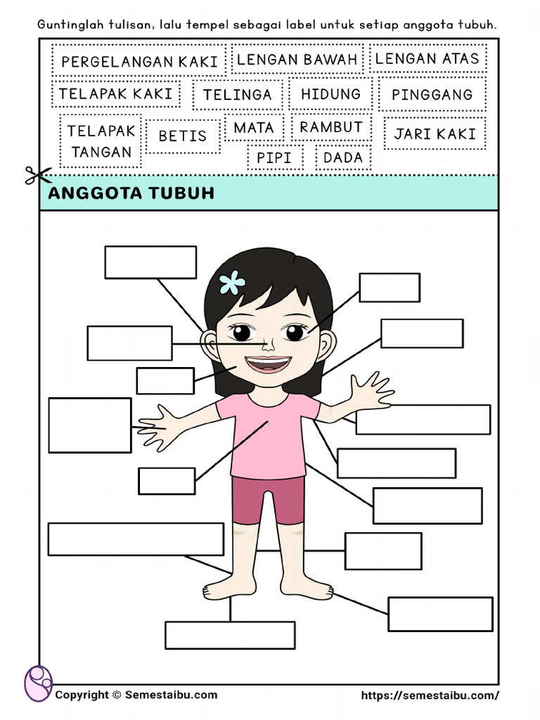 Tema Diri Sendiri - Anggota Tubuh - Anak Perempuan | PDF