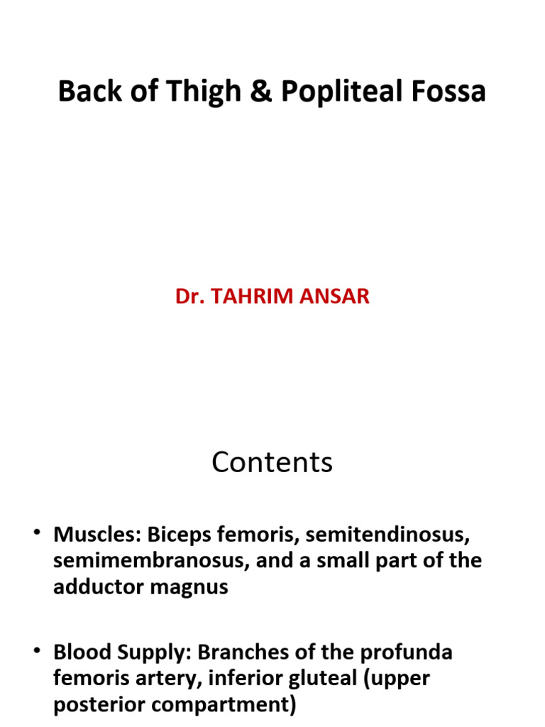 Anatomy of the Popliteal Fossa | PDF | Human Leg | Knee