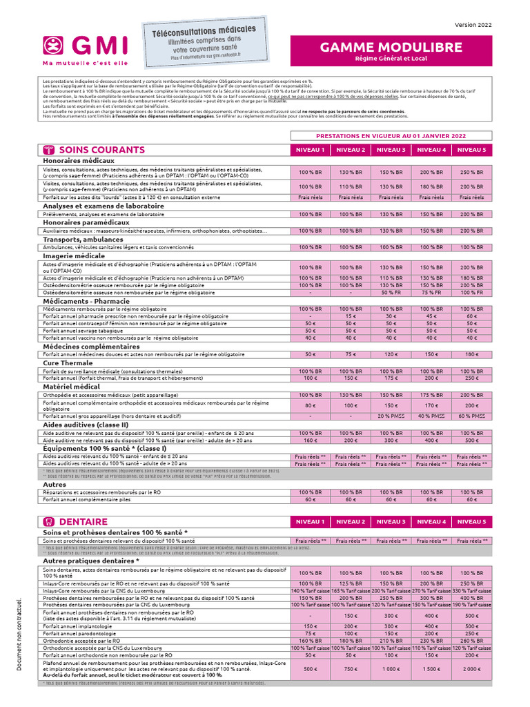 Gmi Modulibre Garanties 2023 | PDF