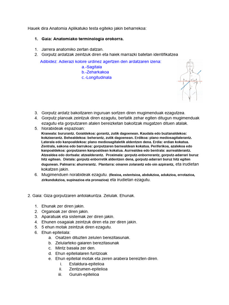 Anatomia, Azterketa Prestatzeko. | PDF