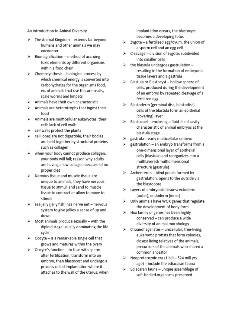 An Introduction To Animal Diversity | PDF | Embryo | Biology