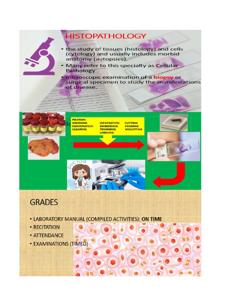 Histopath Introduction | PDF