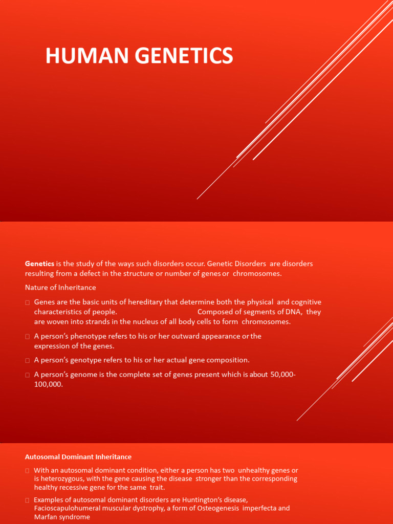 Human Genetics | PDF | Genetic Disorder | Dominance (Genetics)