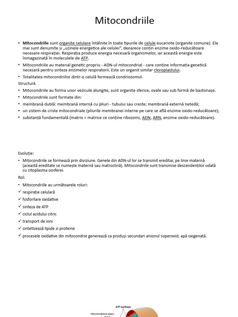 Mitocondria Si Plastidele | PDF | Home & Garden | Science & Mathematics