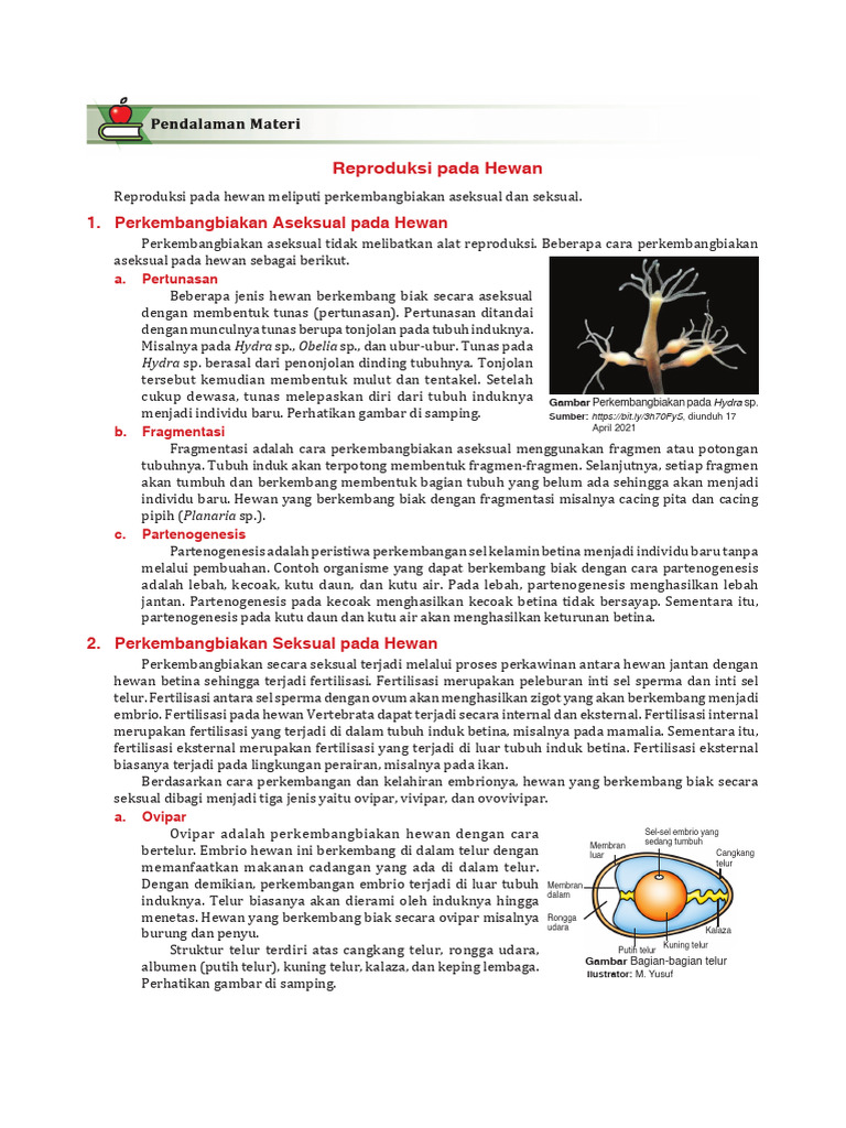 Hewan Aseksual Seksual | PDF