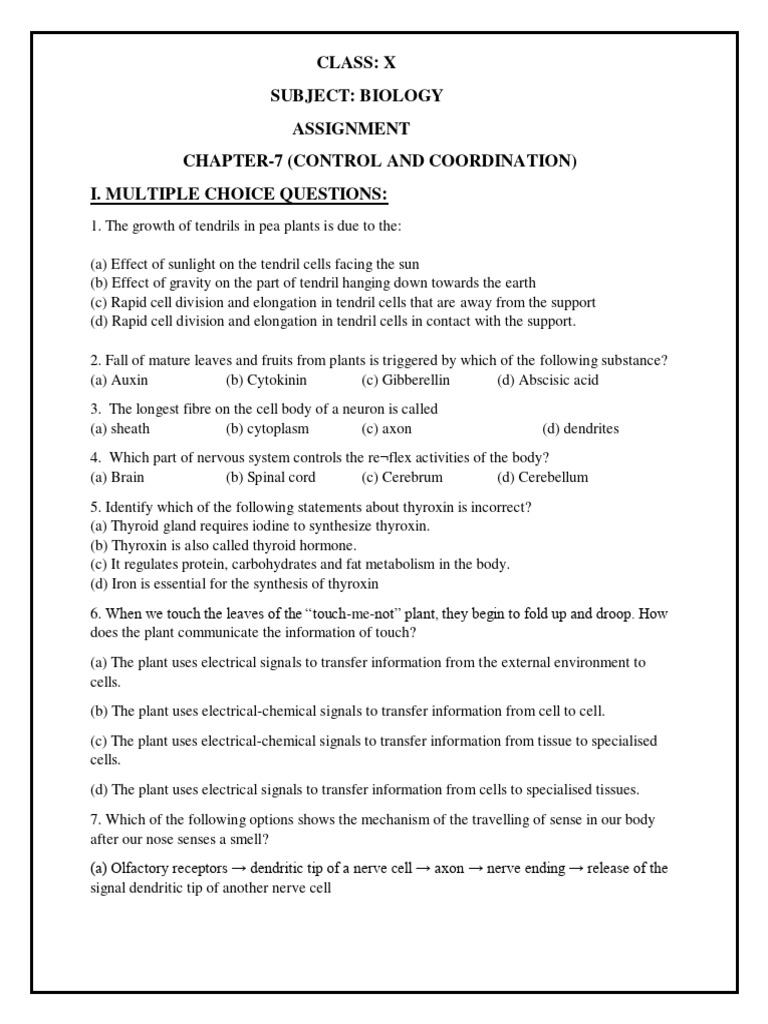 CH-7 Assignment Class 10 | PDF | Hormone | Neuron