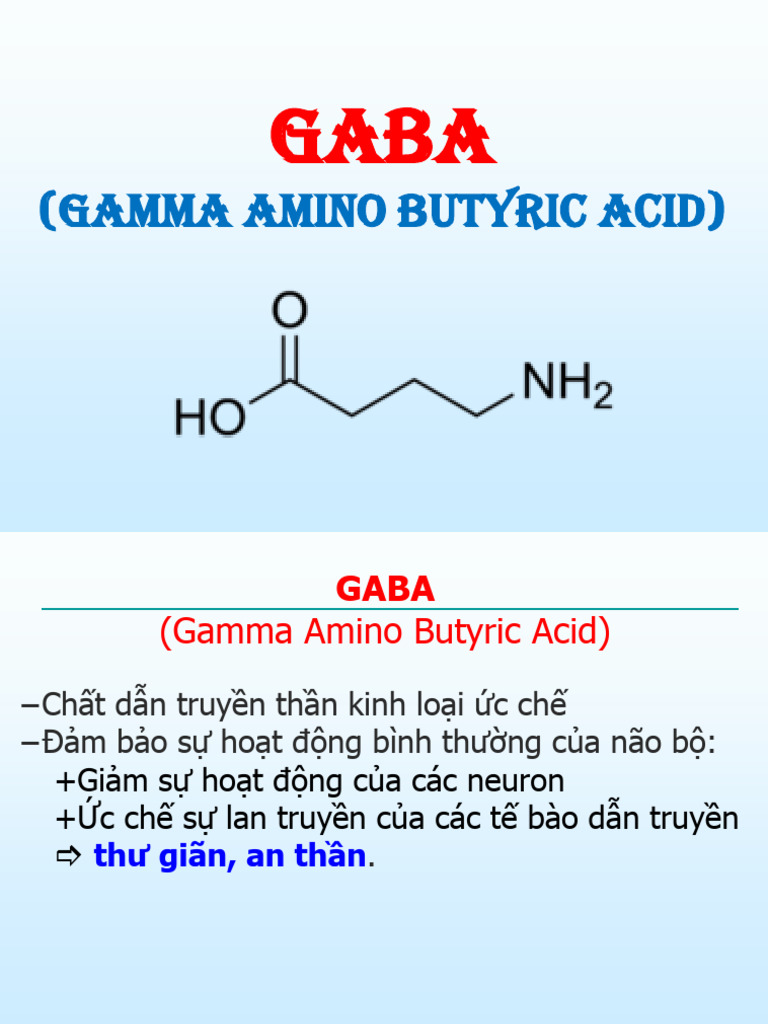 2. GABA + Thuốc ngủ | PDF