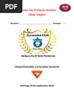 Emblemas Guias Mayores | PDF | Bandera | Los símbolos