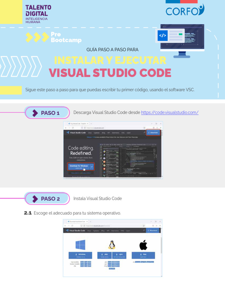 03 Guia Paso A Paso | PDF