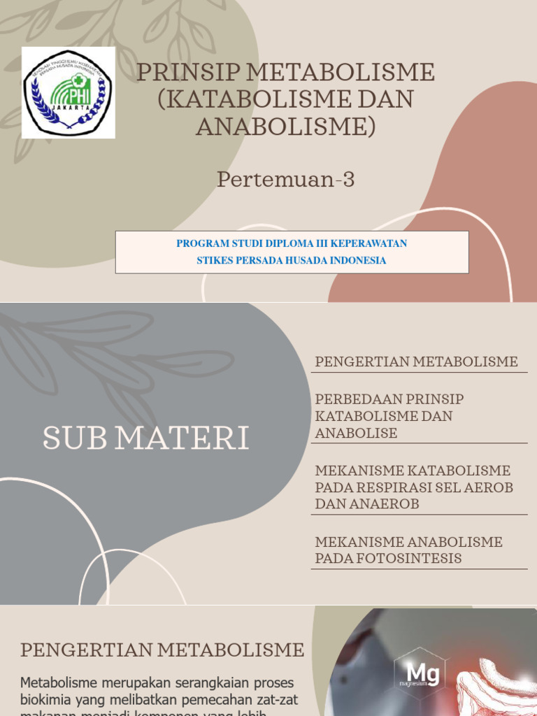 Prinsip Metabolisme (Katabolisme Dan Anabolisme) | PDF