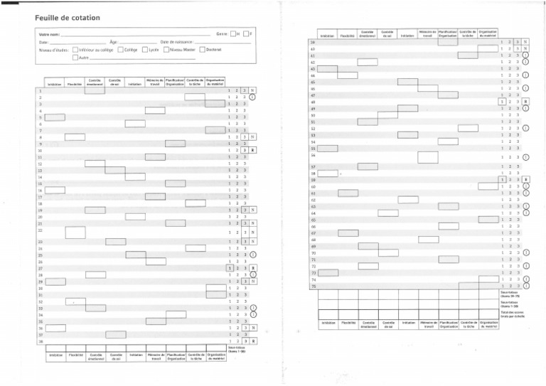 BRIEF-A grille cotation autoéval | PDF