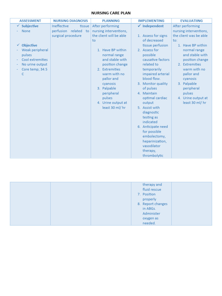 Nursing Care Plan 2 | PDF | Pulse | Perfusion