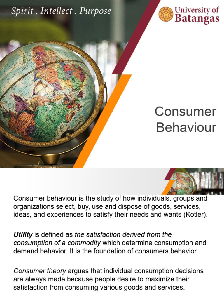 Consumer Behavior | PDF
