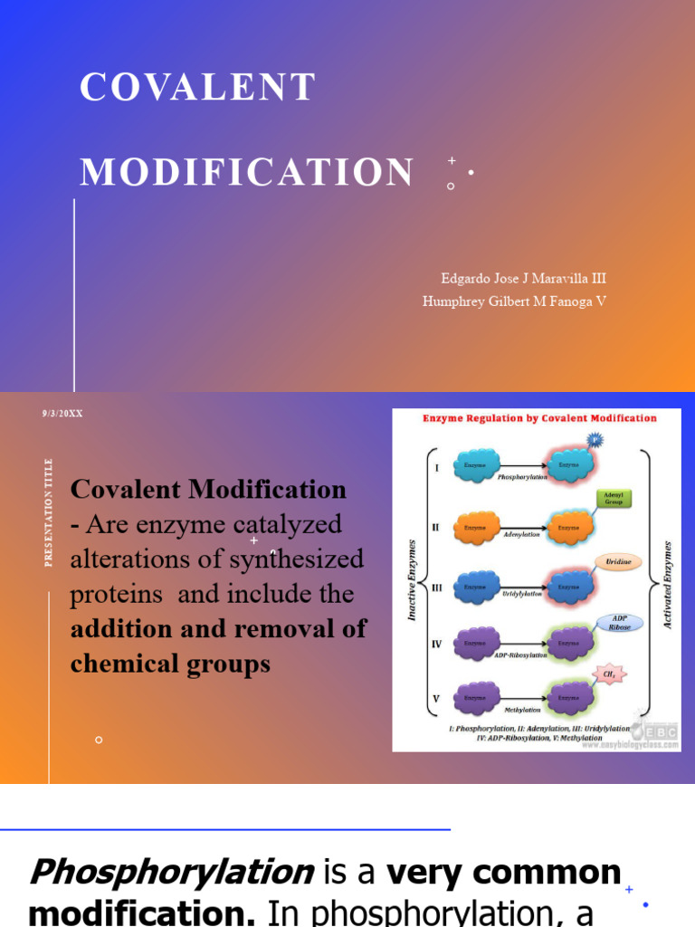 Maravilla and Fanoga Report Biocehm | PDF