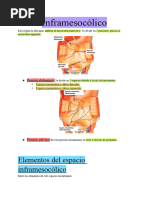 Anatomía y Fisiología Anorrectal | PDF | Recto | Sistema digestivo