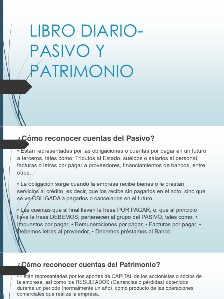 Libro Diario-Pasivo y Patrimonio | PDF