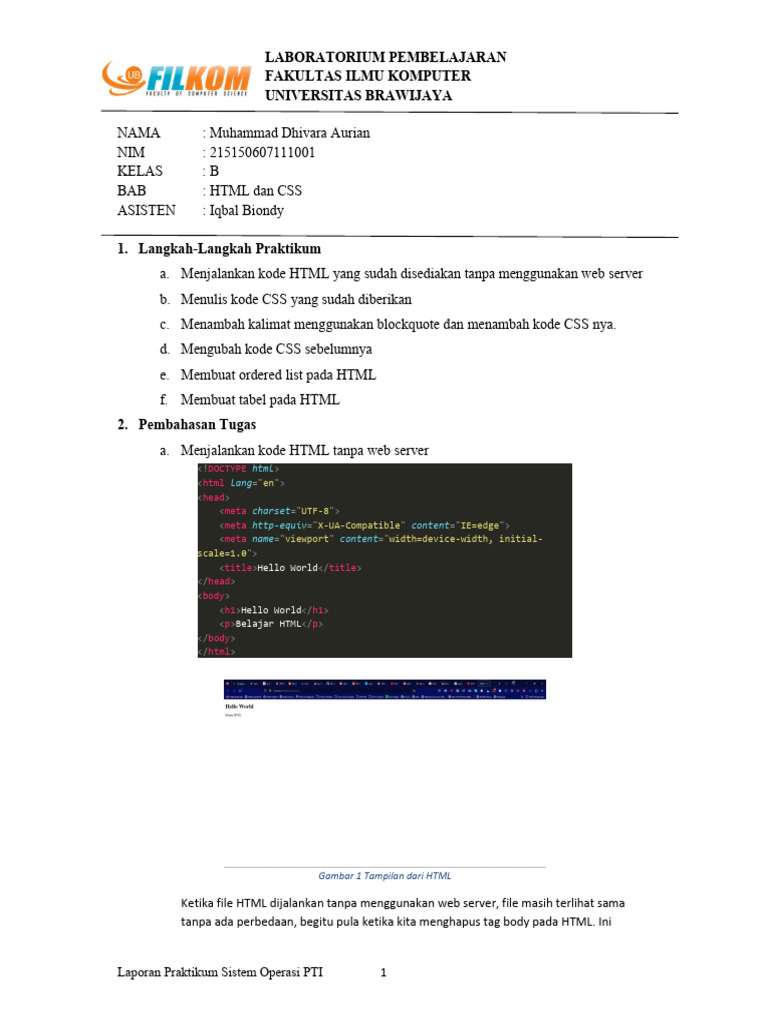 Praktikum HTML dan CSS di Universitas Brawijaya | PDF | Komputer