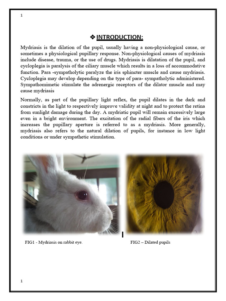 Mydriatic Effect of Alcoholic Extract | PDF