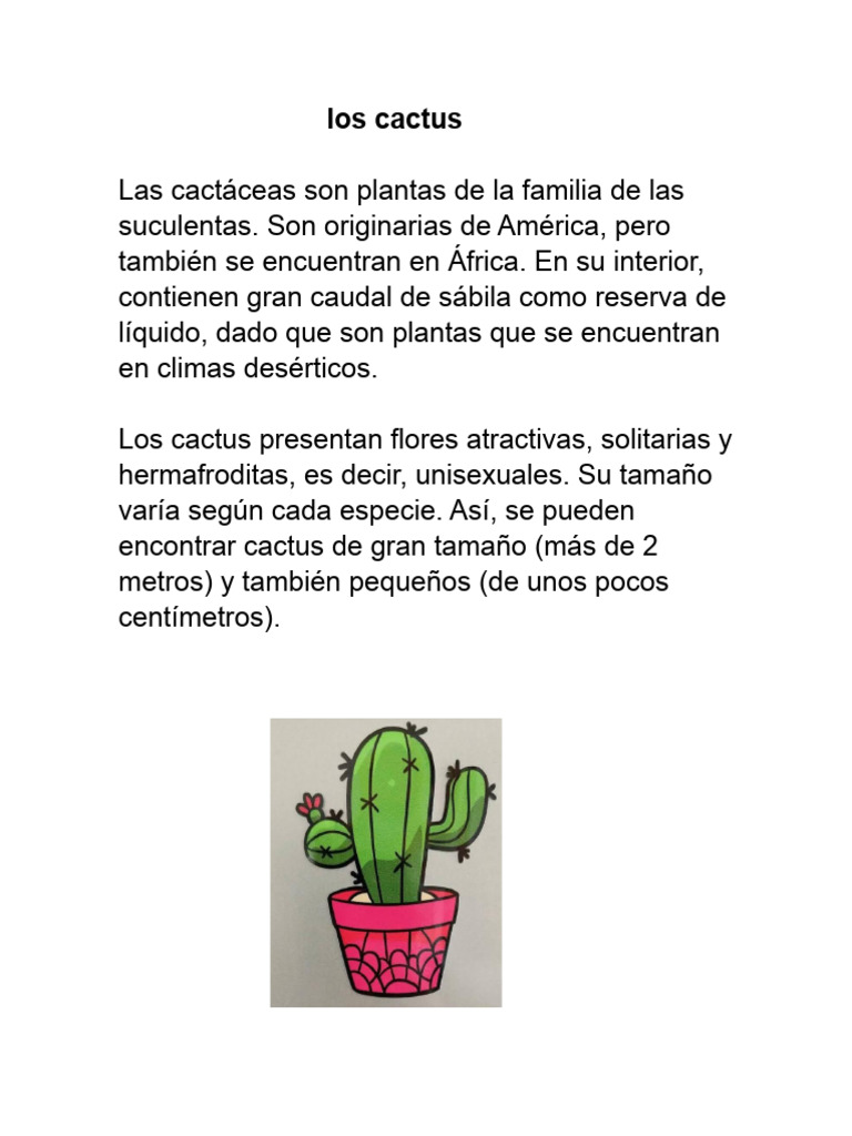 Cactus | PDF