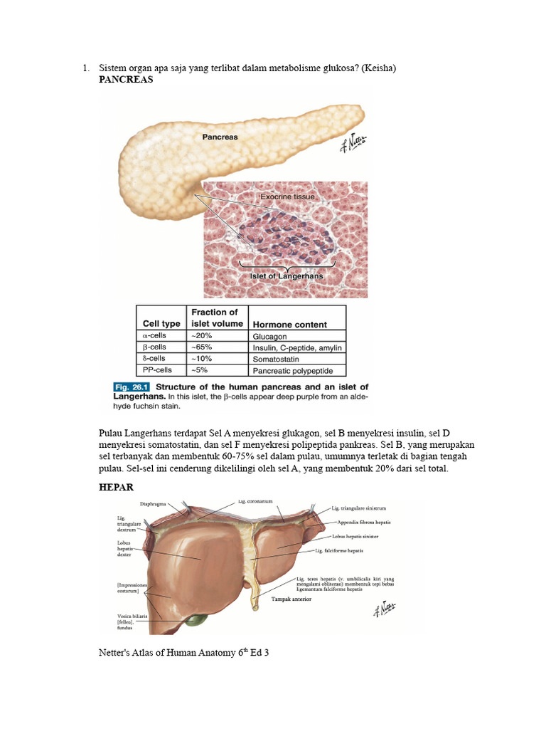 Mohammad Arkan Wijanggosa Li LBM 4 | PDF