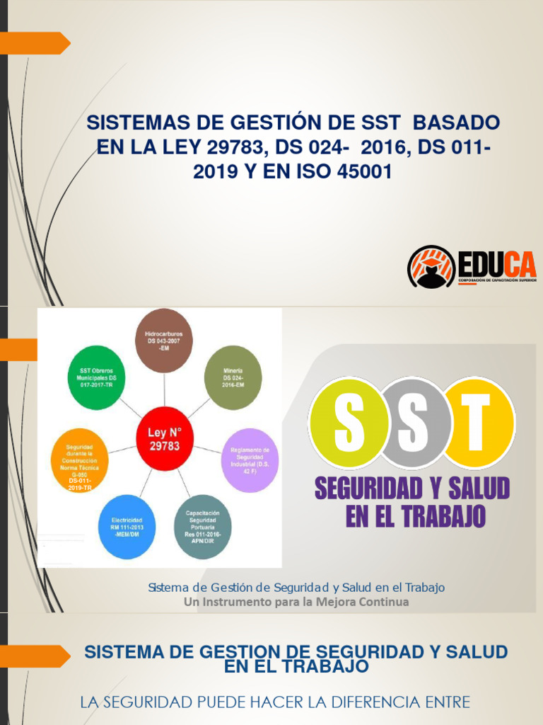 Modulo 6 Sg Sst Basado En La Ley 29783 Y En Iso 45001 2018 Pdf