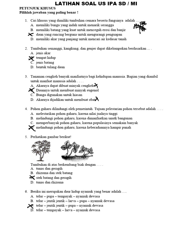 Latihan Us Ipa SD | PDF